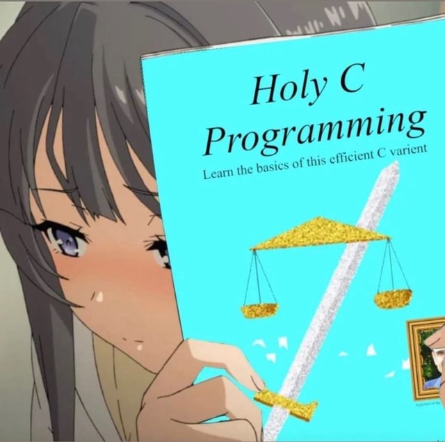 Holy Programming Leann the pasies of ghis varient - iFunny