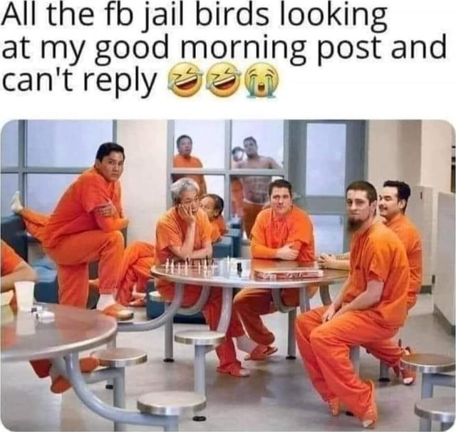 All the fb jail birds looking at my good morning post and can't reply ...