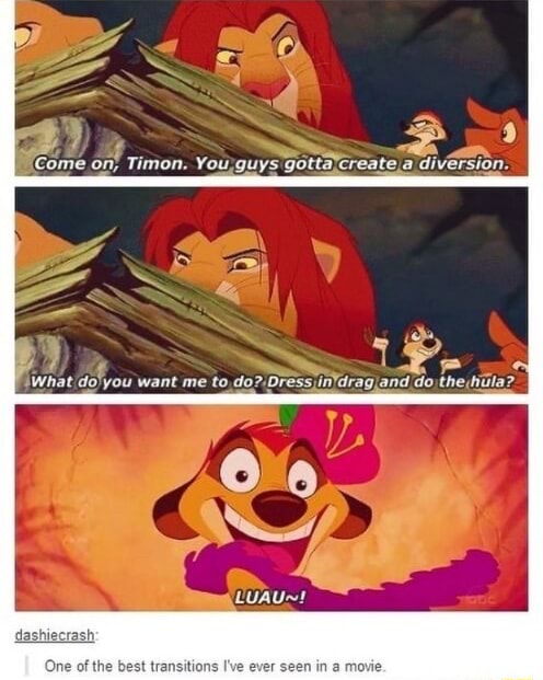 Timon. diversion. wane dashiecrash I One of the best transition: i've ...