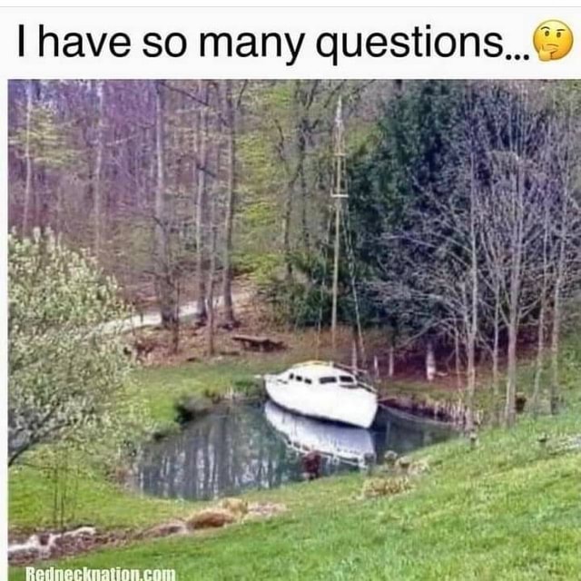 I have so many questions - iFunny