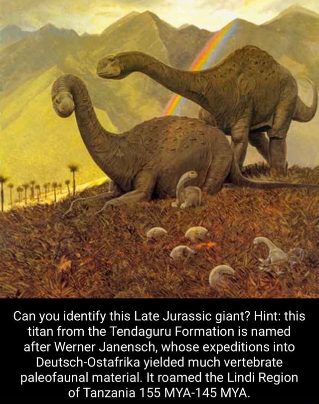 Can you identify this Late Jurassic giant? Hint: this titan from the ...