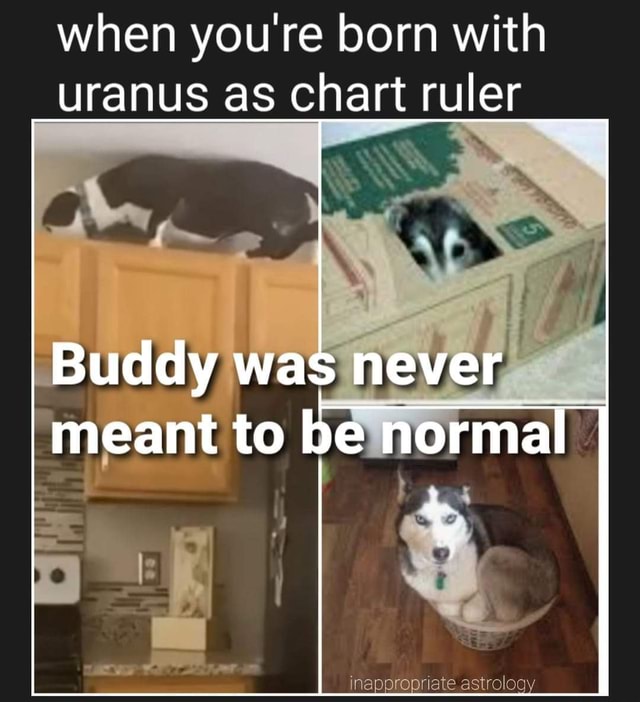When you're born with uranus as Chart ruler Buddy was never meant to be ...