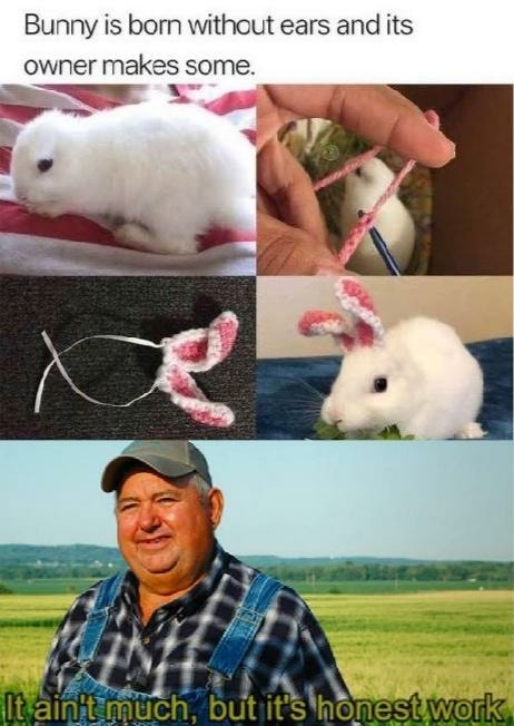 Bunny is born without ears and its owner makes some. Jo - iFunny