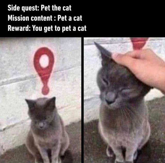 Mission completed ️ . #badcat #catmemes #catsofinstagram #gamer # ...