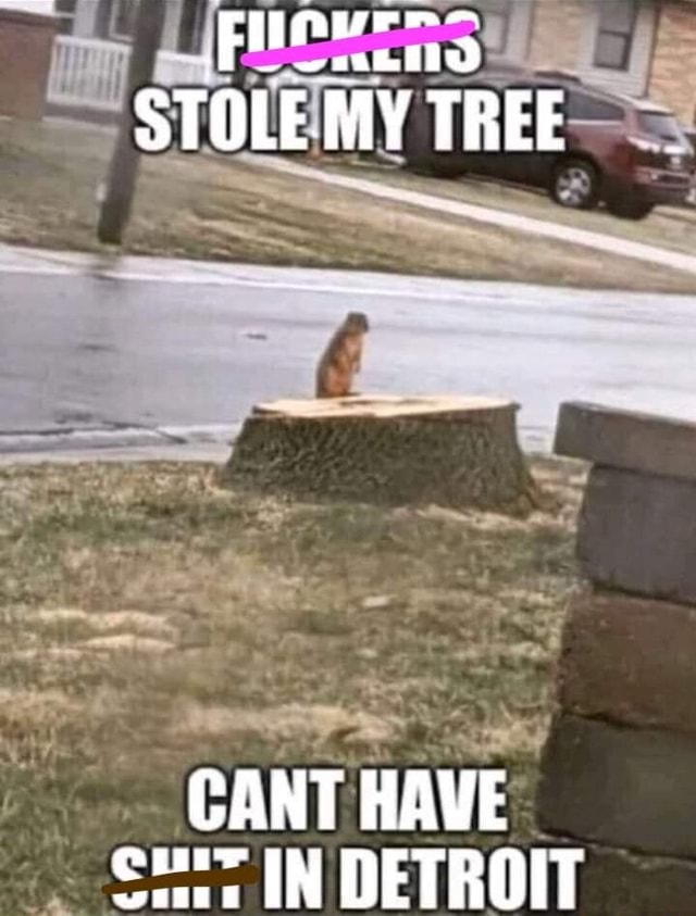 MY TREE CANT HAVE IN DETROIT - iFunny
