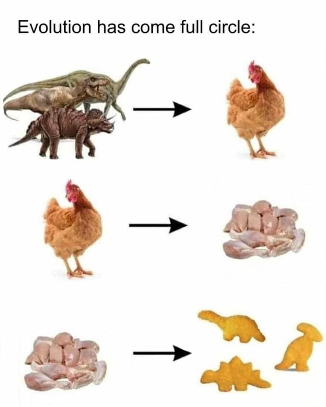 Evolution has come full circle: - iFunny