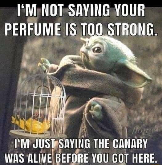 IM NOT SAYING YOUR PERFUME IS STRONG. JUST SAVING THE CANARY WAS ALIVE ...