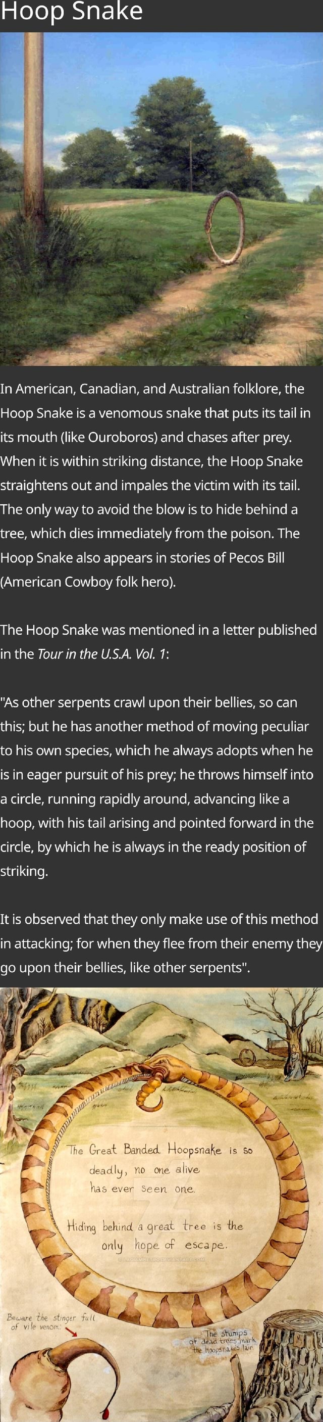 Hoop Snake In American, Canadian, and Australian folklore, the Hoop ...