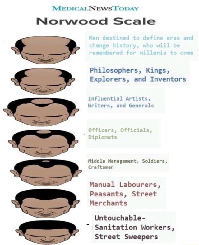 EWS Norwood Scale Philosophers, Kings, Explorers, and Inventors ...