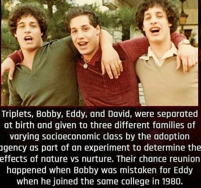 Triplets, Bobby, Eddy, and David, were separated at birth and given to three different families ...