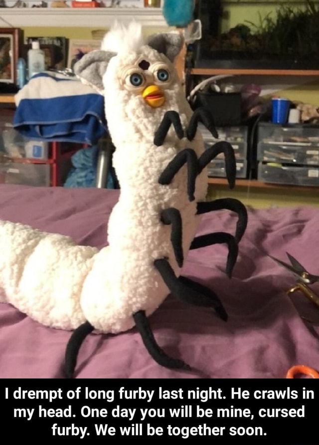 I Drempt Of Long Furby Last Night He Crawls In My Head One Day You