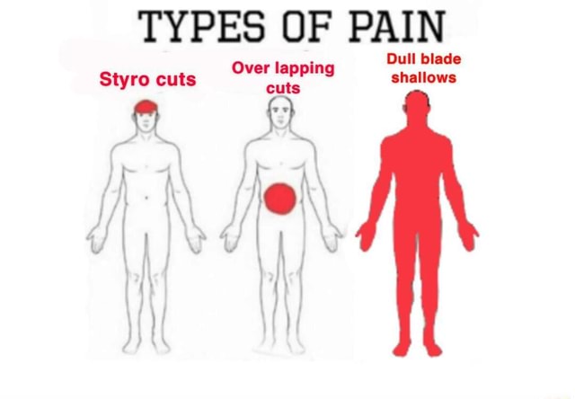 TYPES OF PAIN Dull blade shallows Styro cuts Over - iFunny