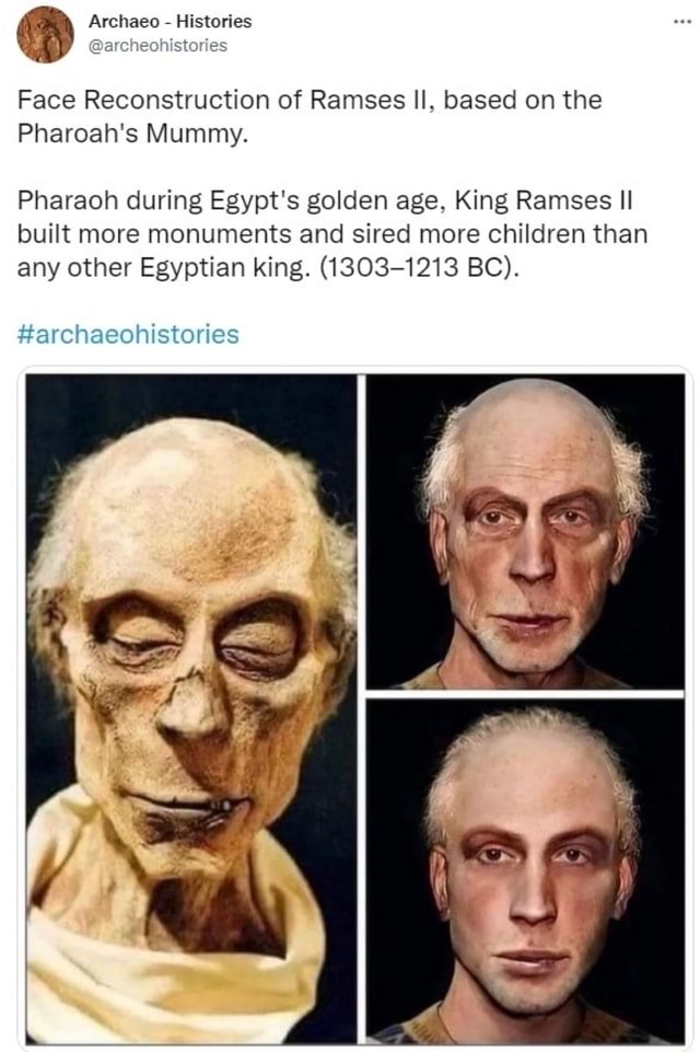 Histories Face Reconstruction of Ramses II. based on the Pharoah's ...