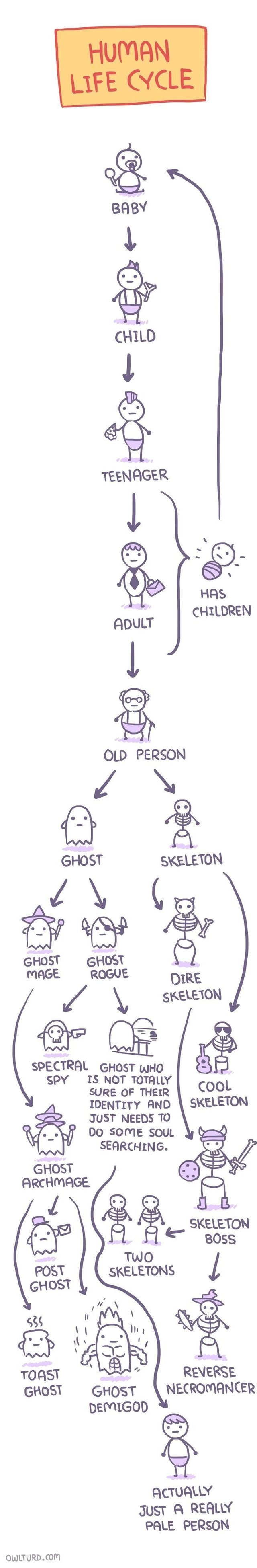 HUMAN LIFE CYCLE BABY CHILD TEENAGER HAS ApuLT CHILDREN OLD PERSON ...