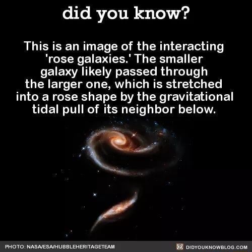 Did you know? This is an image of the interacting 'rose galaxies.' The ...