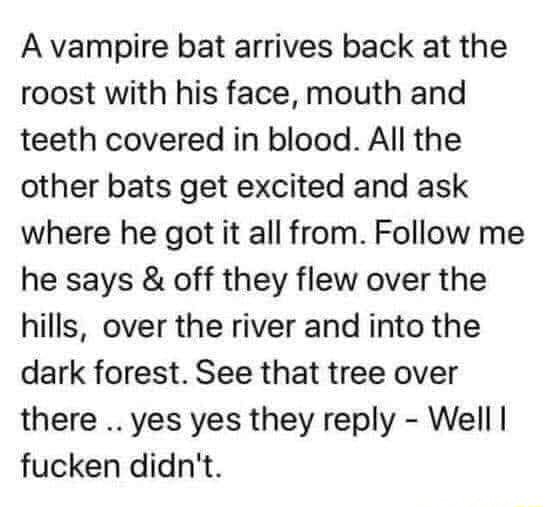 A vampire bat arrives back at the roost with his face, mouth and teeth ...