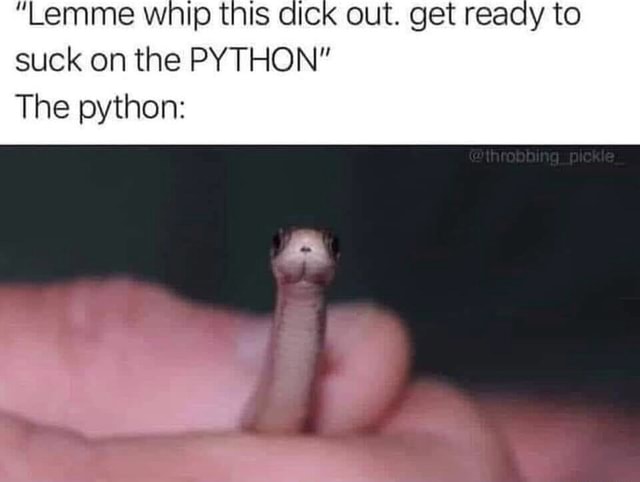 "Lemme wnip this dick out. get ready to suck on the PYTHON" The python: - iFunny