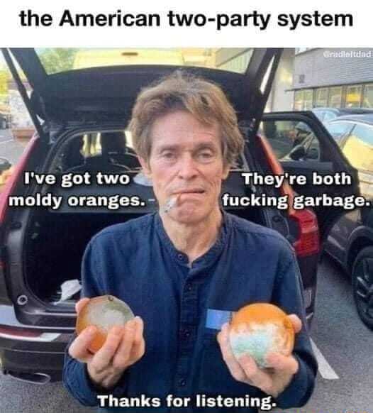 The american two-party system - the American two-party system both ve ...