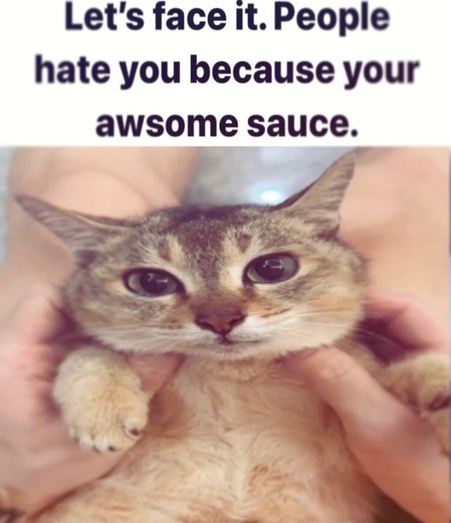 Let's face It. People hate you because your awsome sauce. - iFunny
