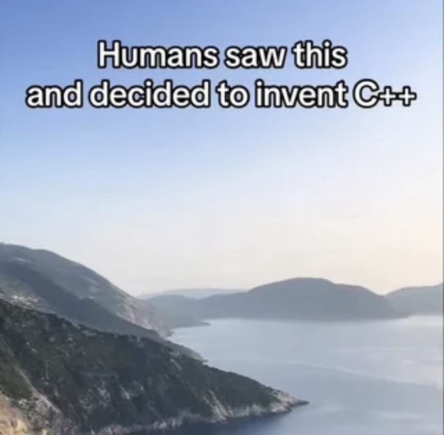 Humans saw this and decided to invent C++ - iFunny