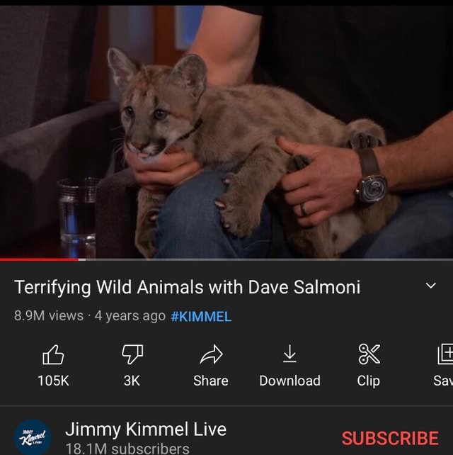 Terrifying Wild Animals With Dave Salmoni 8 9m Views 4 Years Ago
