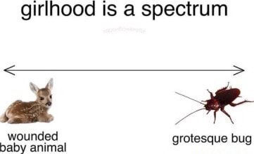Girlhood is a spectrum wounded grotesque bug baby animal - iFunny