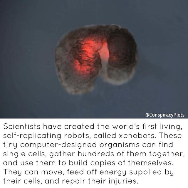 @ConspiracyPlots Scientists hove created the world's first living, self ... @ConspiracyPlots Scientists hove created the world's first living, self ...
