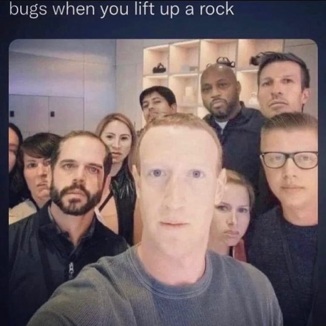 Bugs when you lift up a rock - iFunny