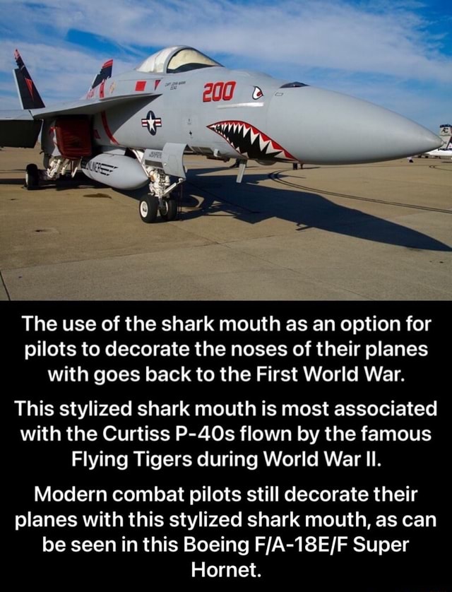 The use of the shark mouth as an option for pilots to decorate the ...