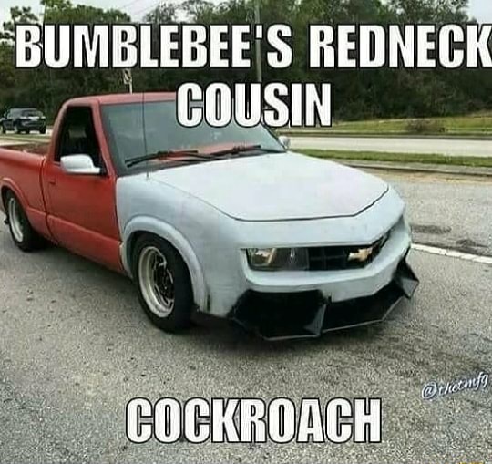 BUMBLEBEE' REDNECK COCKROACH - iFunny