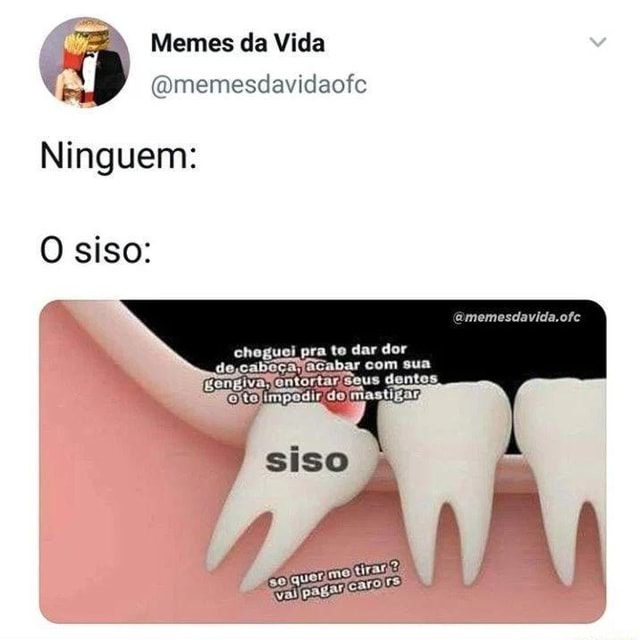Memes da Vida memesdavidaofe Ninguem: siso: (amemesdavida.ofe cheguei ...