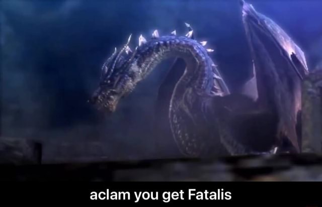 Aclam you get Fatalis - aclam you get Fatalis - iFunny