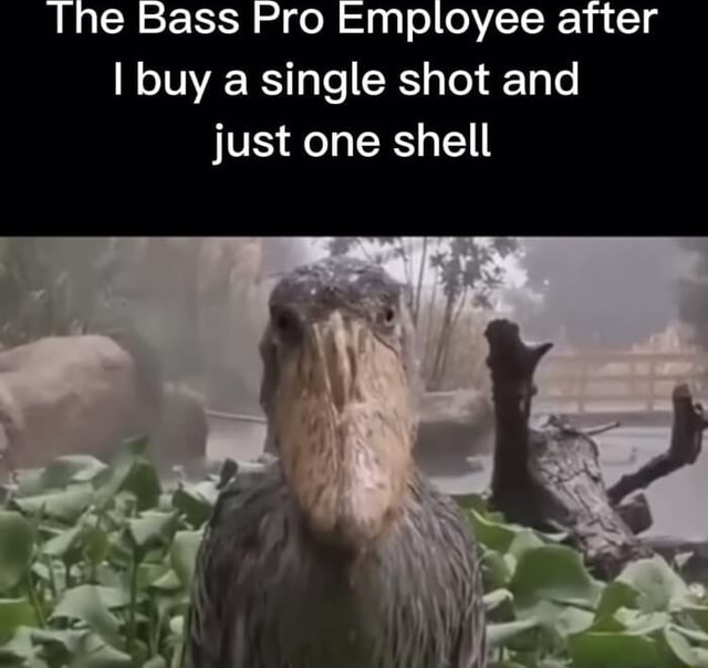 The Bass Pro Employee after I buy a single shot and just one shell - iFunny