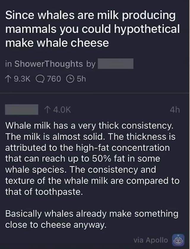Since whales are milk producing mammals you could hypothetical make ...