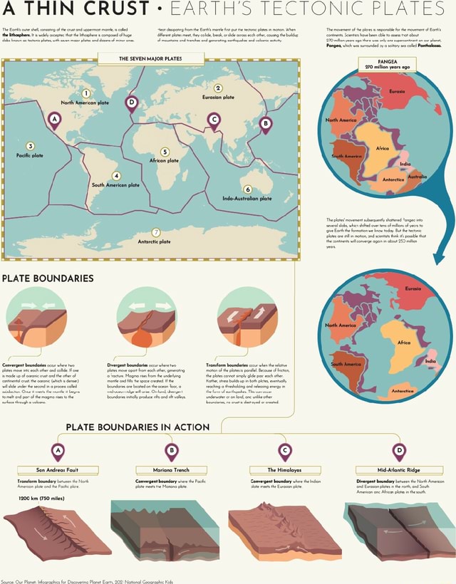 A THIN CRUST 'The Eot cure shel, cnssteg of he cuttond uppeemon mont ...