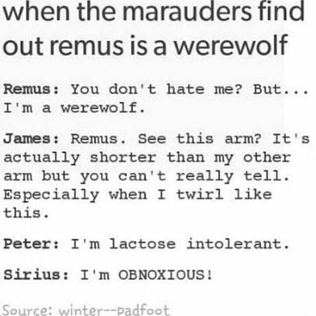 When the marauders find out remus is a werewolf Remus: You don't hate ...