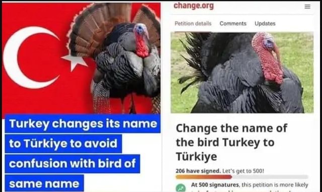 Turkey changes its name to Turkiye to avoid the bird Turkey to ...