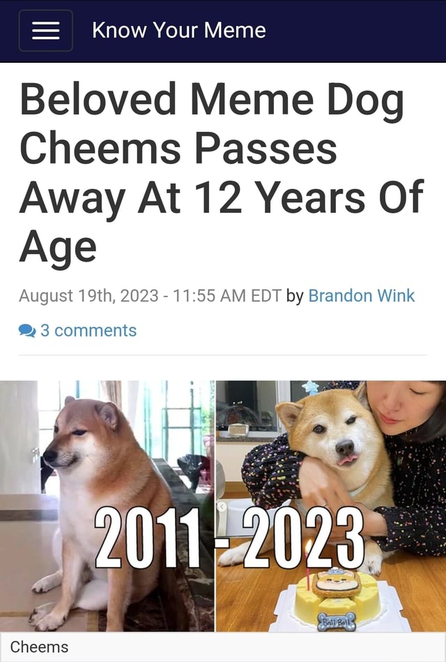 Know Your Meme Beloved Meme Dog Cheems Passes Away At 12 Years Of Age ...