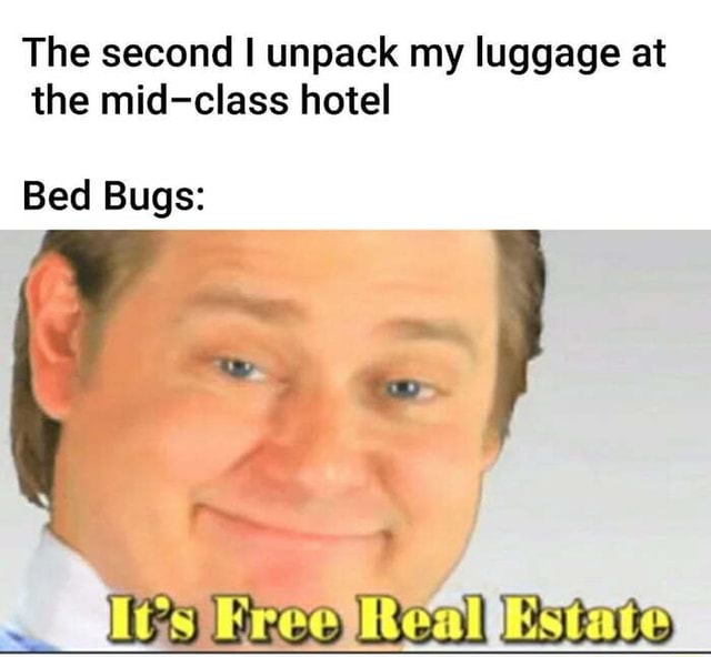The second unpack my luggage at the mid-class hotel Bed Bugs: - iFunny