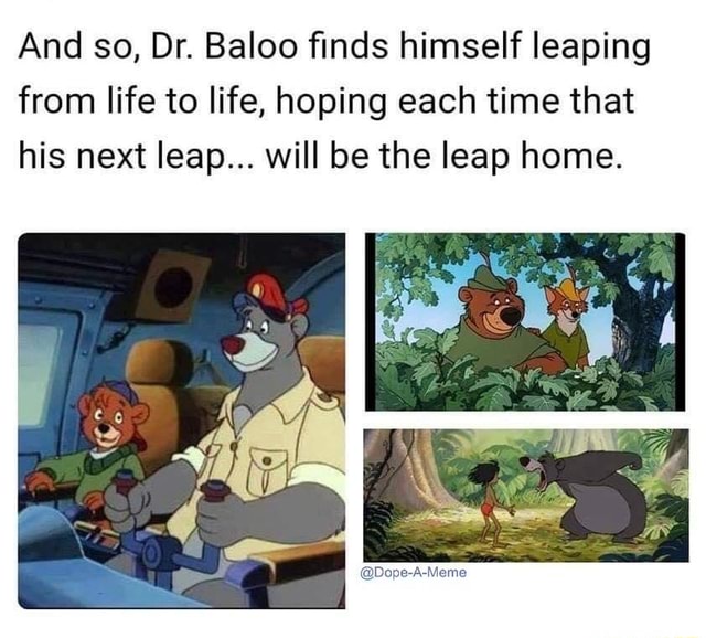 And so, Dr. Baloo finds himself leaping from life to life, hoping each ...
