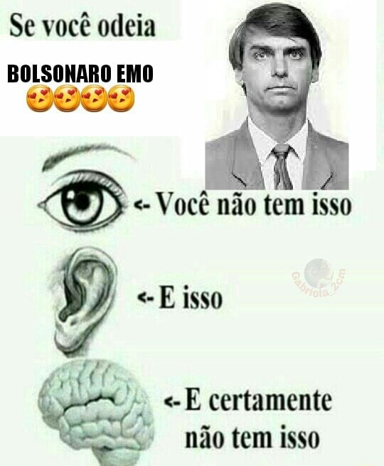 Se você odeia BOLSONARO EMO AB Você não tem isso y E certamente não tem ...