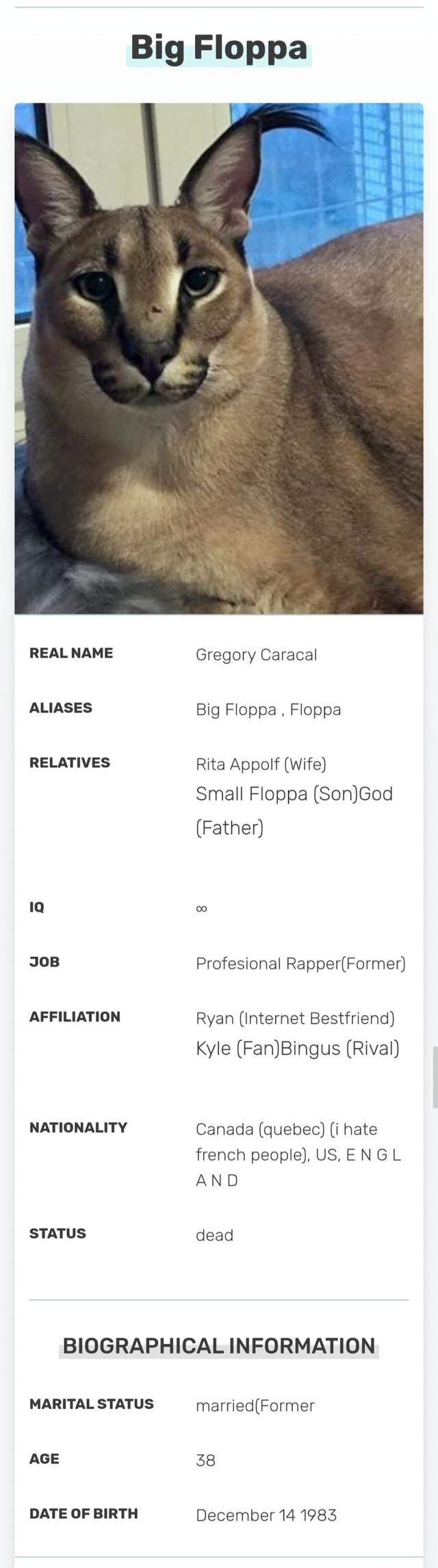 Big Floppa REAL NAME Gregory Caracal ALIASES Big Floppa , Floppa ...