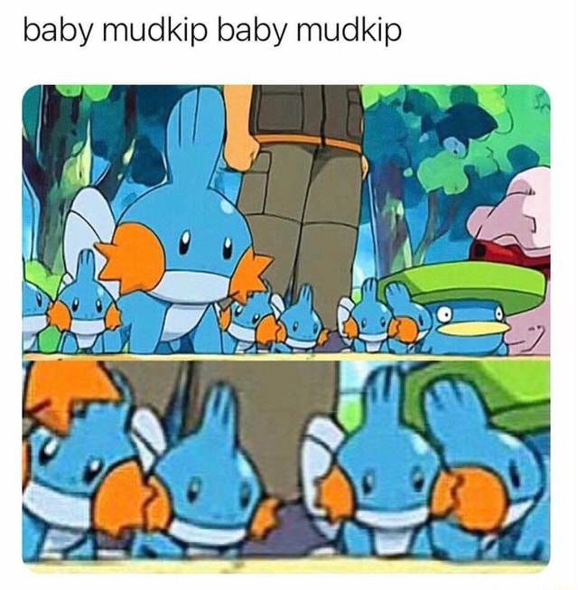 Baby mudkip baby mudkip - iFunny