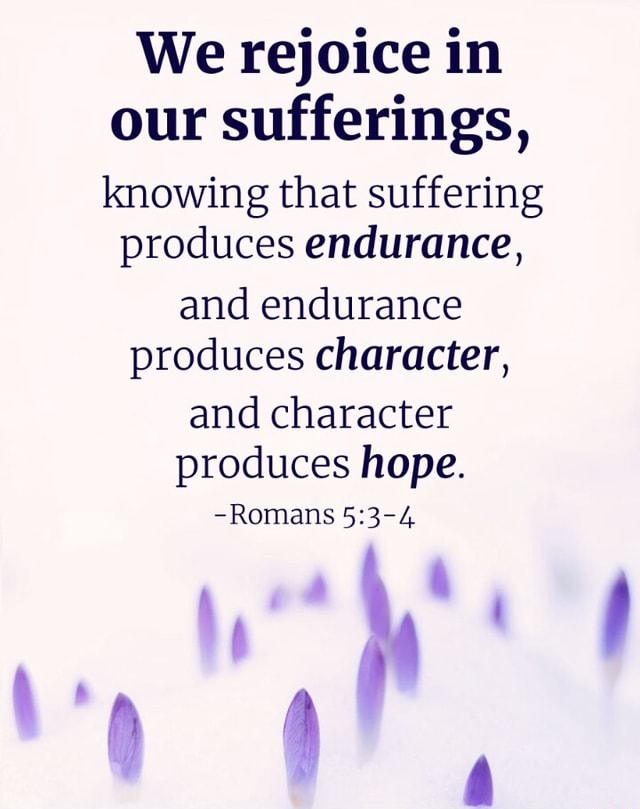 We rejoice in our sufferings, knowing that suffering produces endurance ...