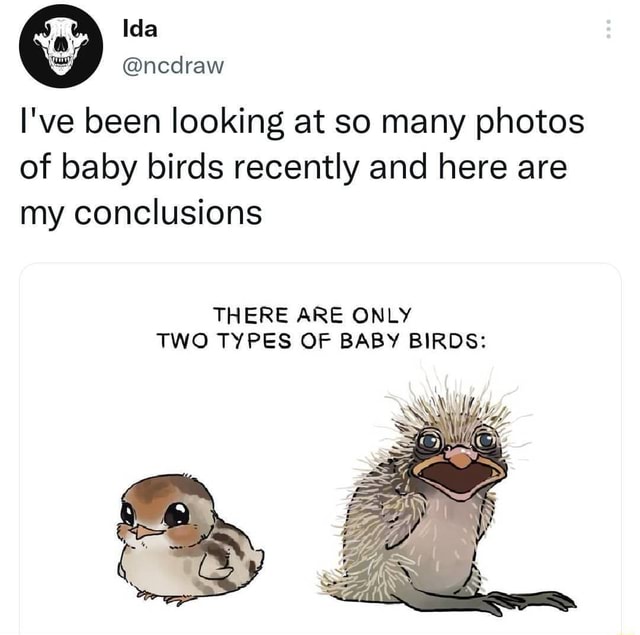 @nedraw I've been looking at so many photos of baby birds recently and ...