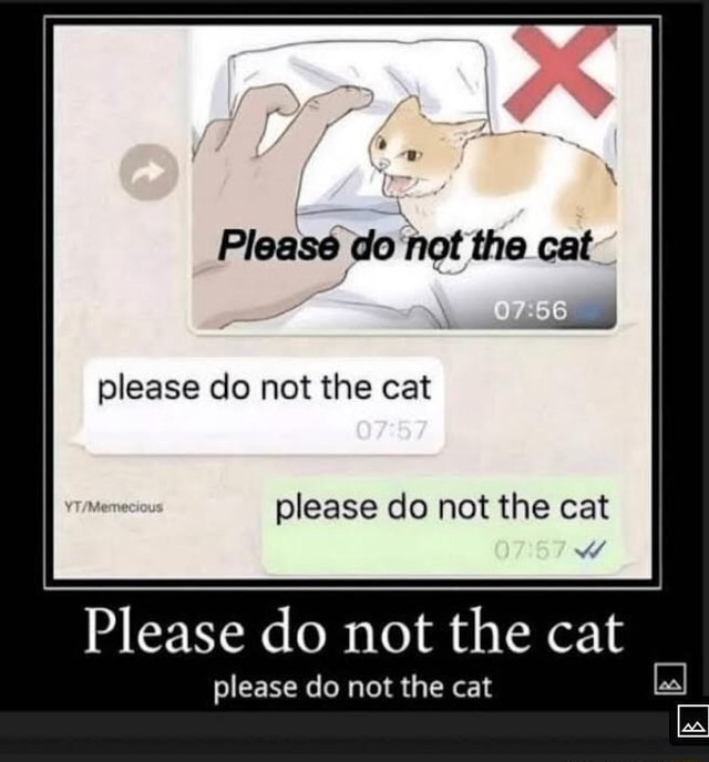 Please do not the cat as please do not the cat please do not the cat Ww ...