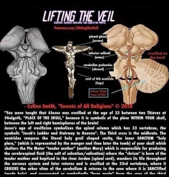 LIFTING. THE VEIL tool of ventricle (legs) Cullen Smith, "Secrets of ...