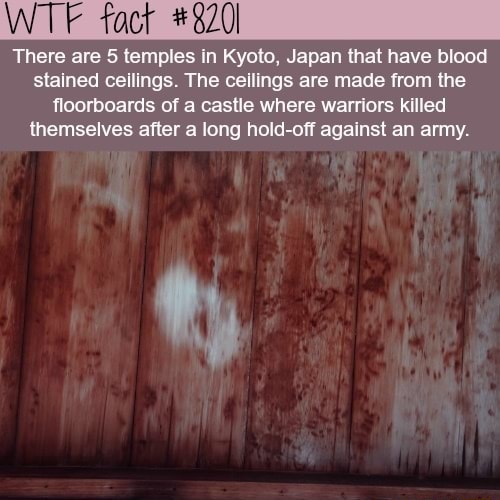 Fact There are 5 temples in Kyoto, Japan that have blood stained ...