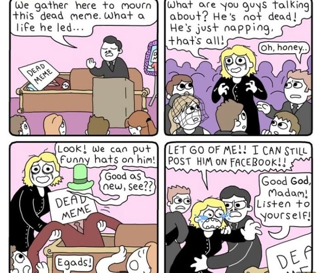 We gather here to mourn this dead meme. What life he led... LE What ace ...