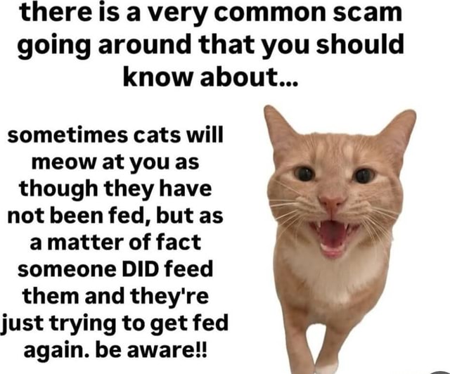 There is a very common scam going around that you should know about ...